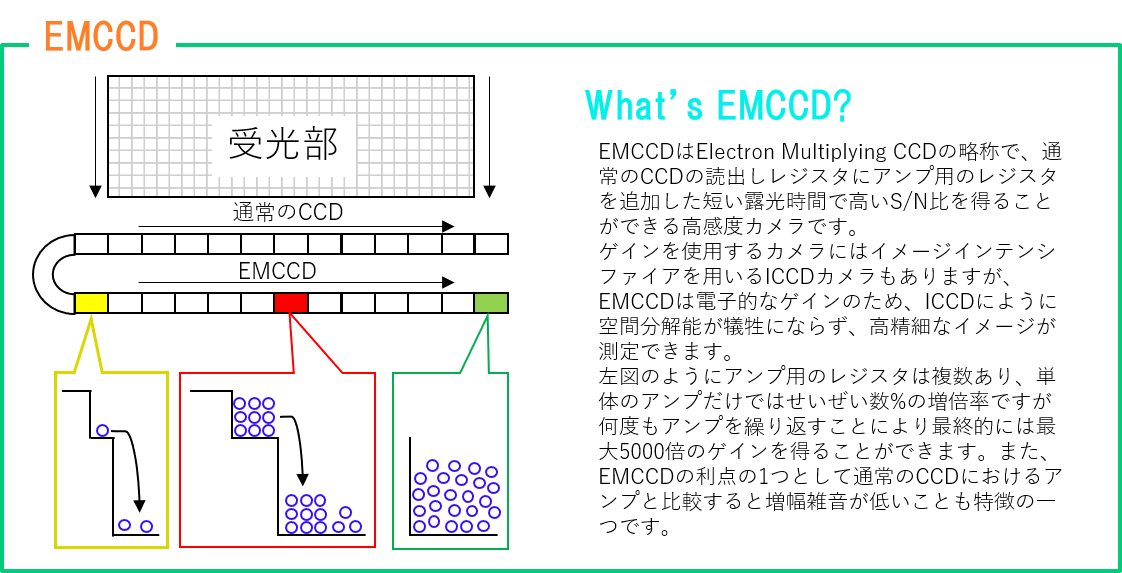 高感度 イメージング用EMCCD Falcon lll - Raptor Photonics社
